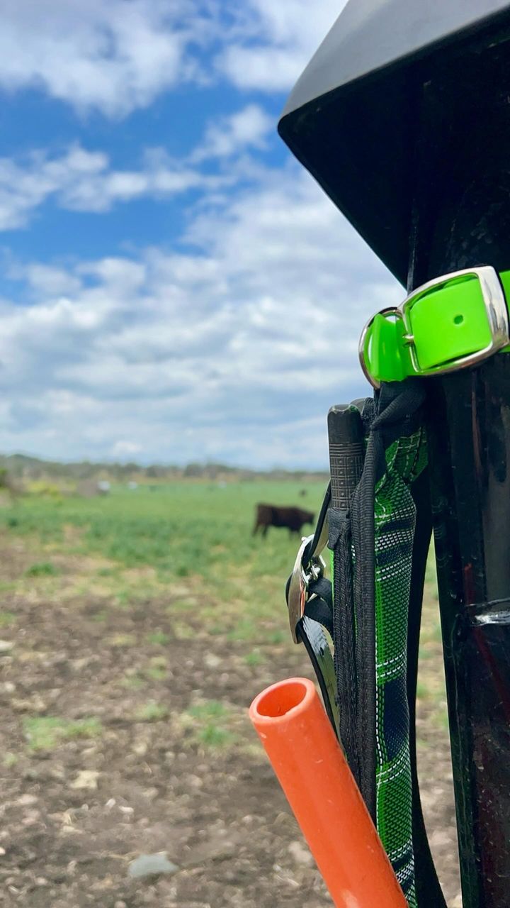 Canvas and PVC Products – Bucked Off Western Wear